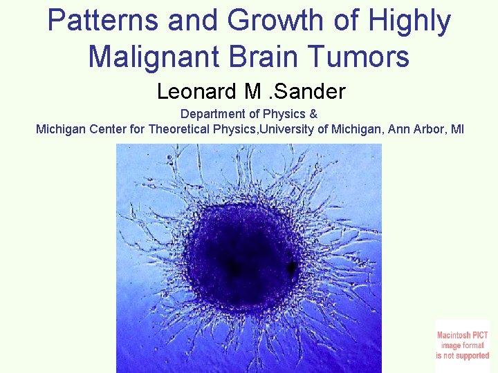Patterns and Growth of Highly Malignant Brain Tumors