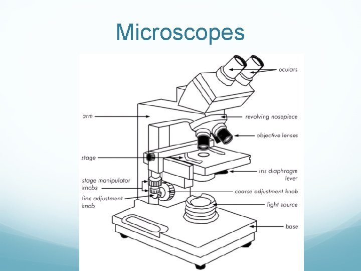 Unit 1 Microscope Cells DNA Ms Martel Microscopes