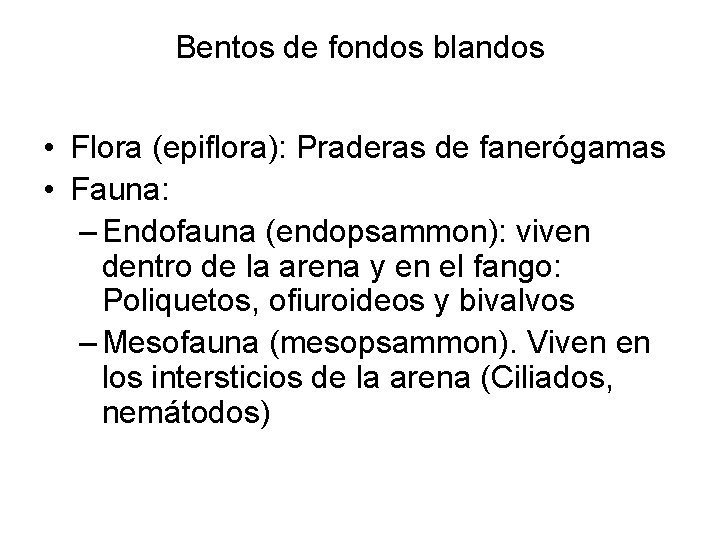 Los organismos del bentos Influencia del sustrato Influencia