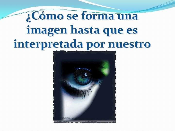 Cmo se forma una imagen hasta que es