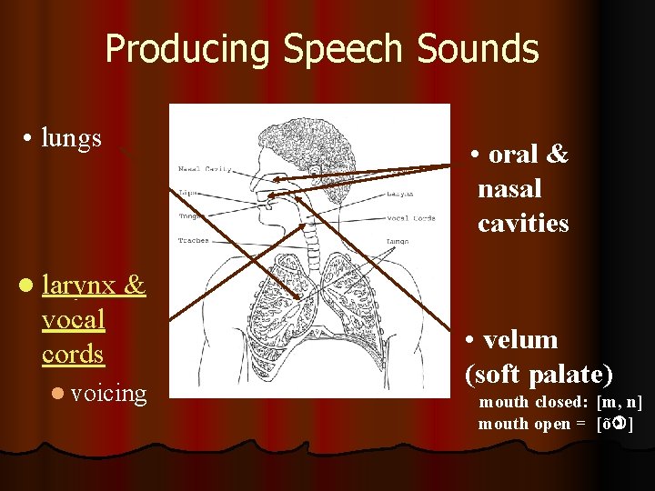 The Form of the Message Chapter 2 Part
