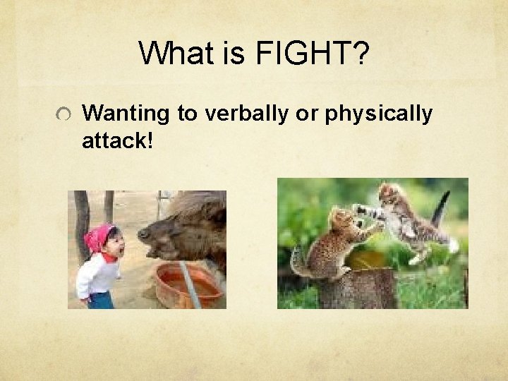 STRESS What is Stress Mental and Physical Tension