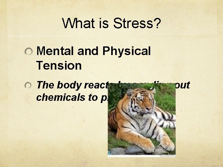 STRESS What is Stress Mental and Physical Tension