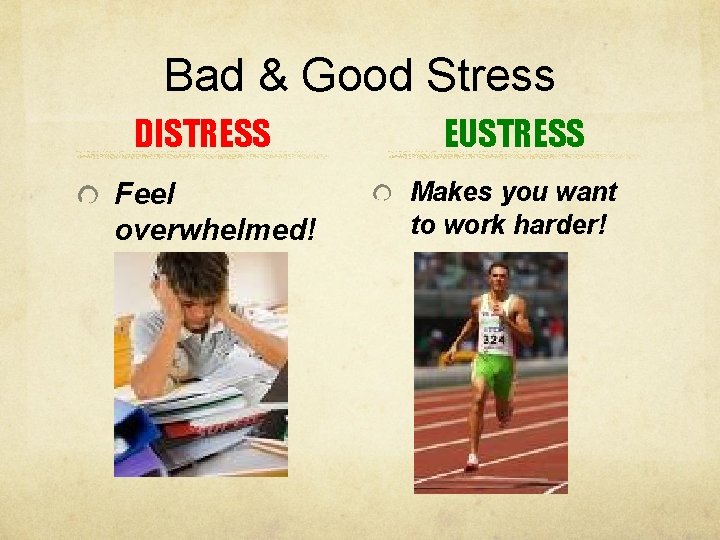 STRESS What is Stress Mental and Physical Tension