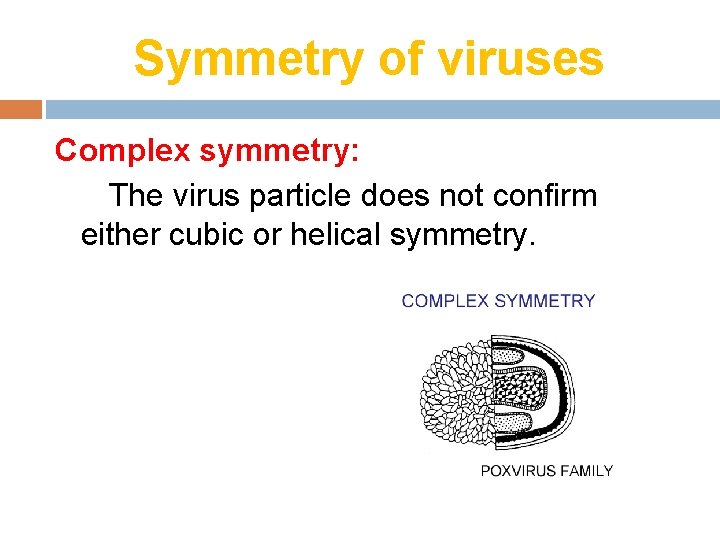 VIROLOGY INTRODUCTION TO VIROLOGY CLASSIFICATION OF VIRUSES REPLICATION