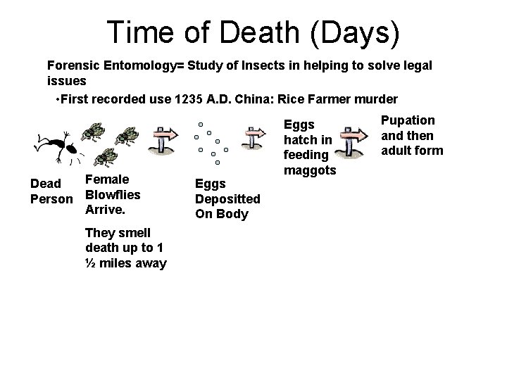 The Body and Death What does it mean