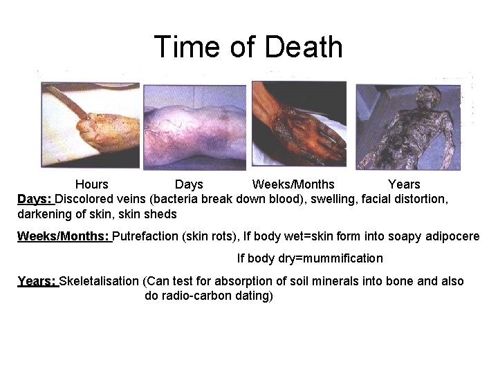 The Body and Death What does it mean