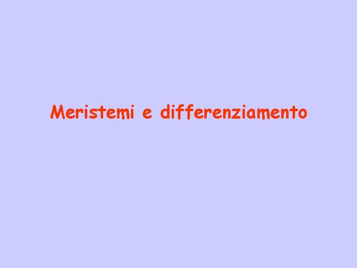 Meristemi e differenziamento Diversamente dagli animali le piante
