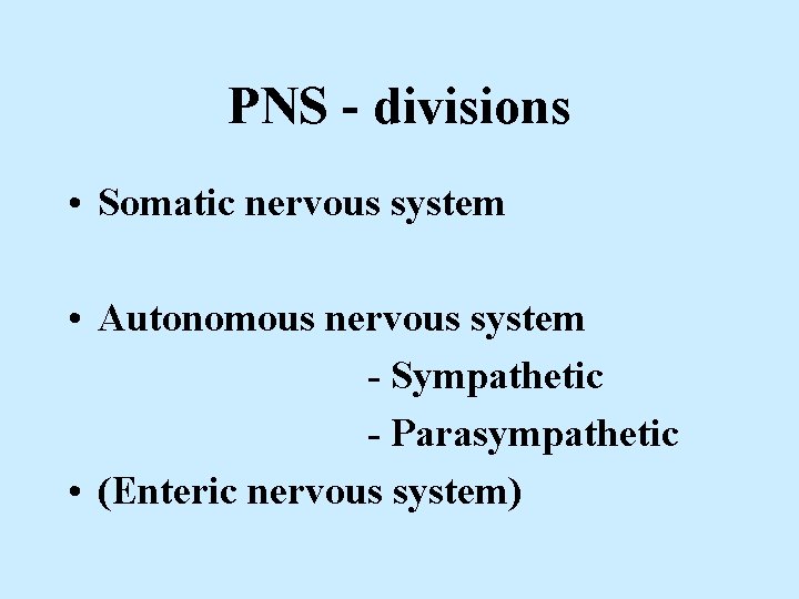 PNS I Filip Barinka PNS divisions Somatic nervous