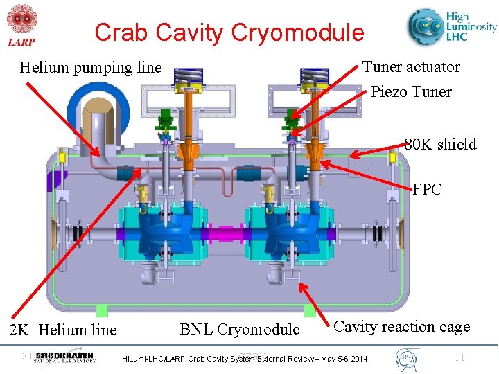 Double Quarter Wave Crab Cavity The Cryomodule Cavity