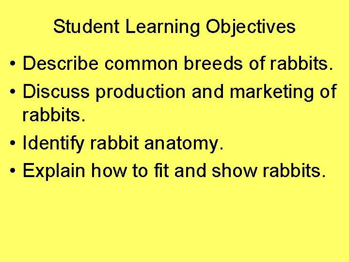 Exploring the Rabbit Industry Lesson Interest Approach Before
