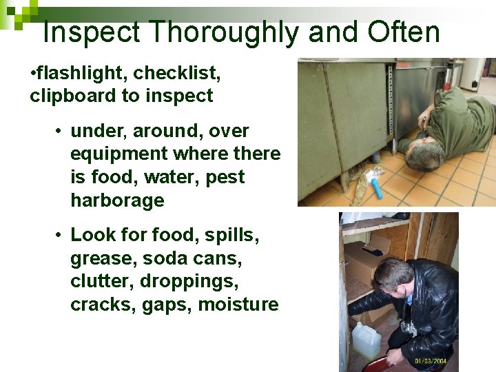 School IPM Roles and Responsibilities Kathy Murray Maine