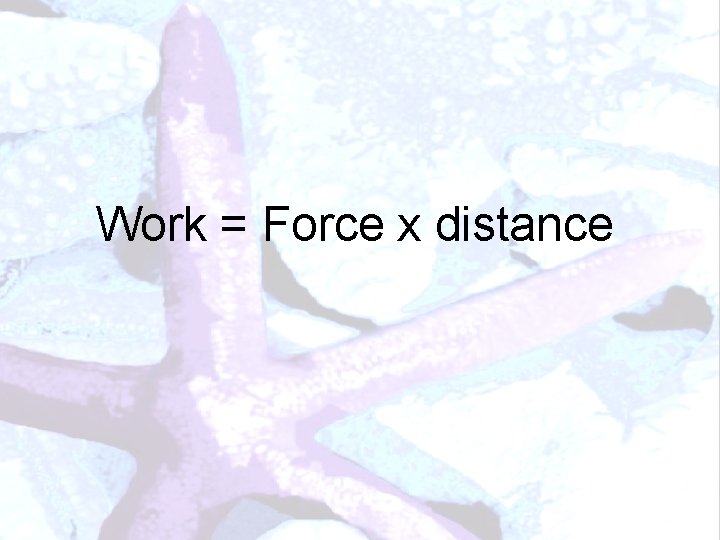 Mechanisms Dean Hackett March 2012 Types of motion