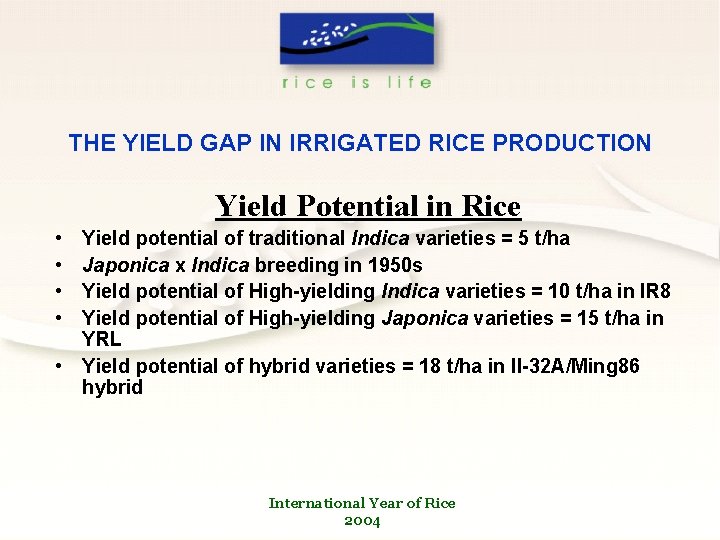 INCREASING THE PRODUCTIVITY AND EFFICIENCY IN RICE PRODUCTION