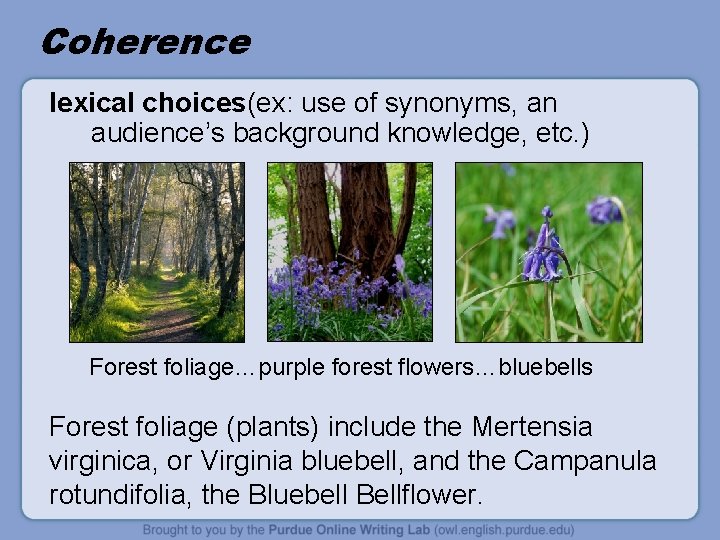 How to Achieve Coherence at a Micro Level