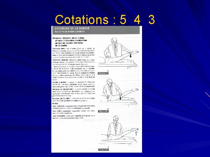 TESTING DE LA HANCHE TESTING DE LA HANCHE