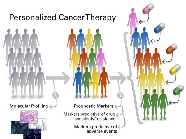 Theradiagnostics for cancer Patrick Willems GENDIA Antwerp Belgium