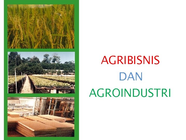 TOPIK 12 AGRIBISNIS DAN AGROINDUSTRI AGRIBISNIS SEBAGAI SUATU