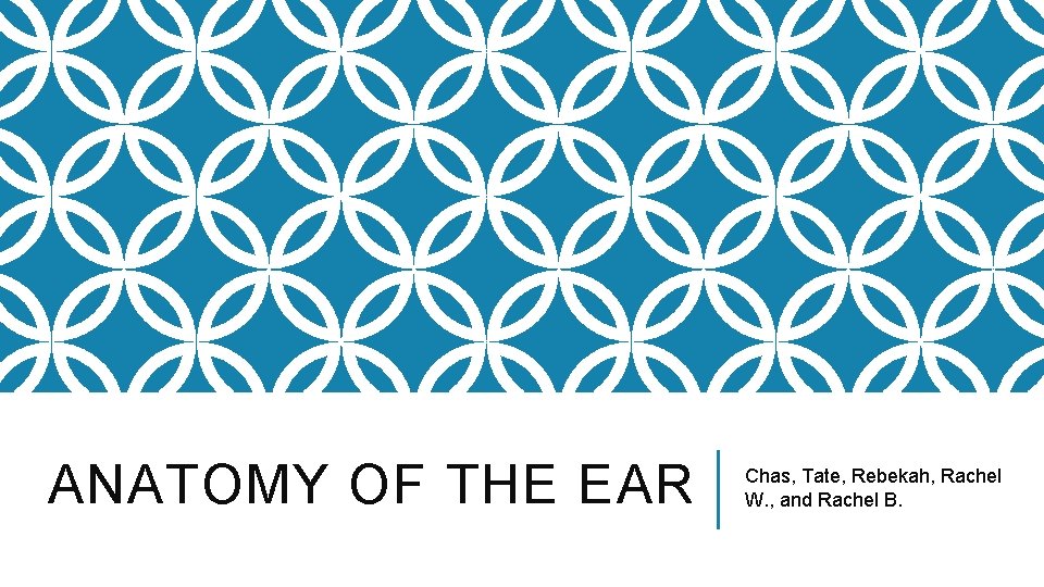 ANATOMY OF THE EAR Chas Tate Rebekah Rachel