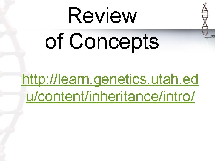 Essential Question How is the combination of genes