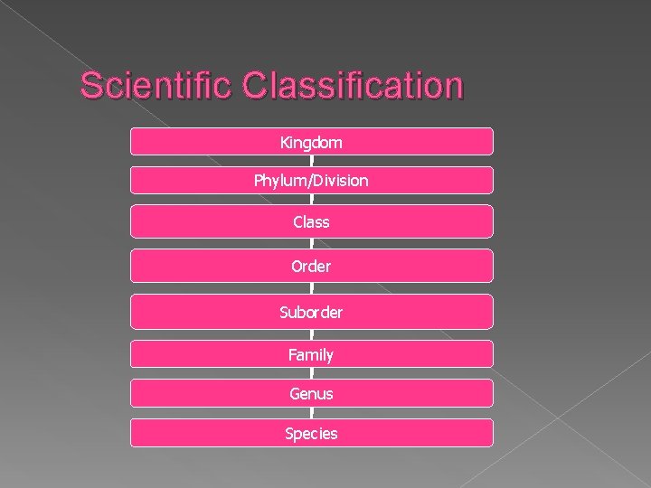 Taksonomi tumbuhan Introduction Taxonomy is the science of