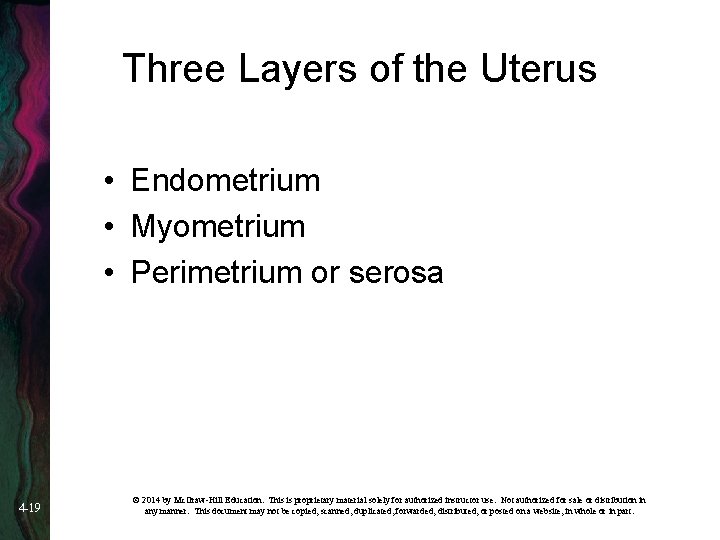 Chapter 4 Sexual Anatomy 2014 by Mc GrawHill