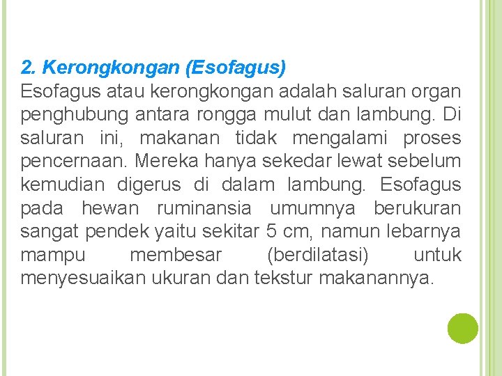 teknologi pro Duksi ternak sapi bangsa ternak sapi