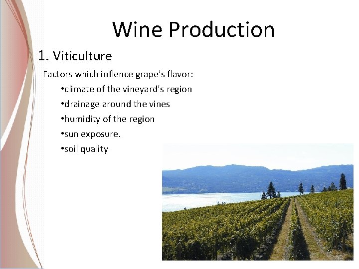 WINE PRODUCTION INTRODUCTION Winemaking or vinification is the