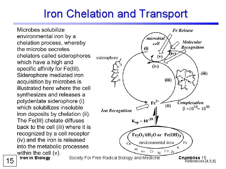 Virtual Free Radical School Iron Chelation in Biology