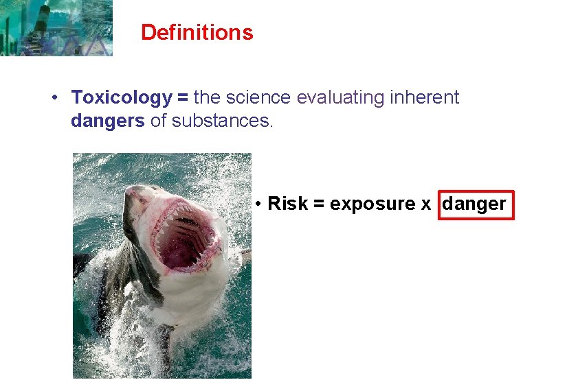 Toxicity and risks for human health of nanomaterials
