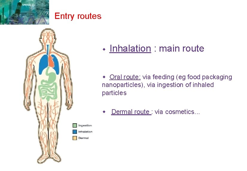 Toxicity and risks for human health of nanomaterials
