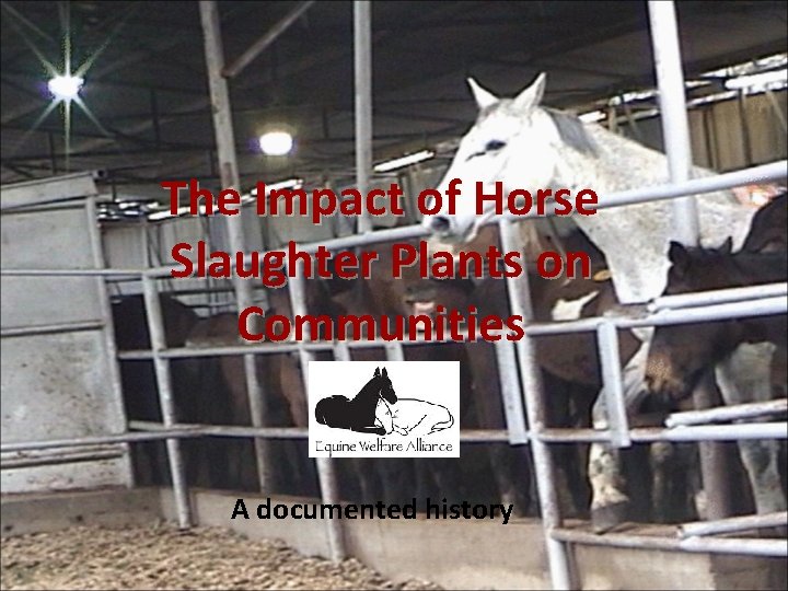 The Impact of Horse Slaughter Plants on Communities