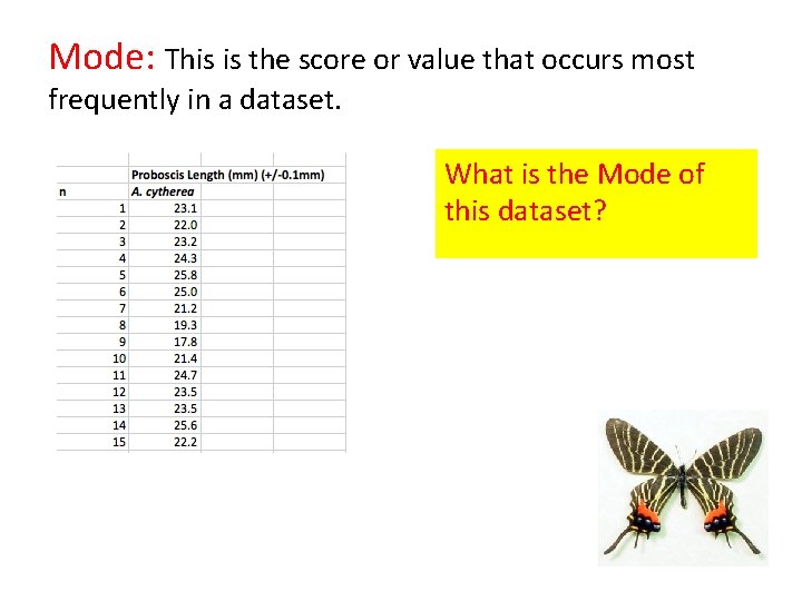 The Data Collection and Statistical Analysis in IB