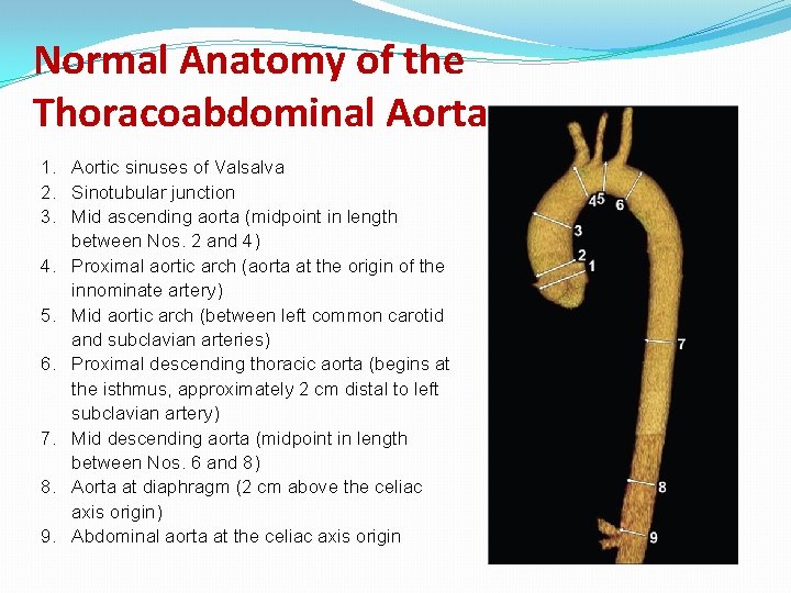 Guidelines for the Diagnosis and Management of Patients