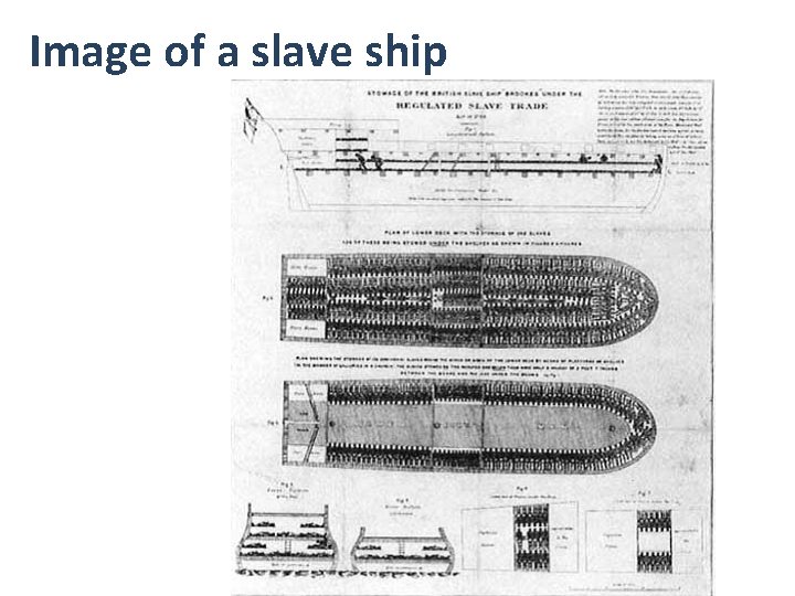 Introduction to The Slave Trade and The Middle