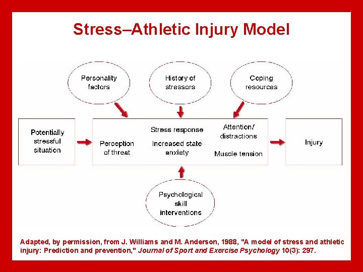chapter 19 Athletic Injuries and Psychology Session Outline