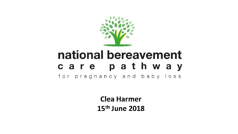 Clea Harmer 15 th June 2018 Contents 1