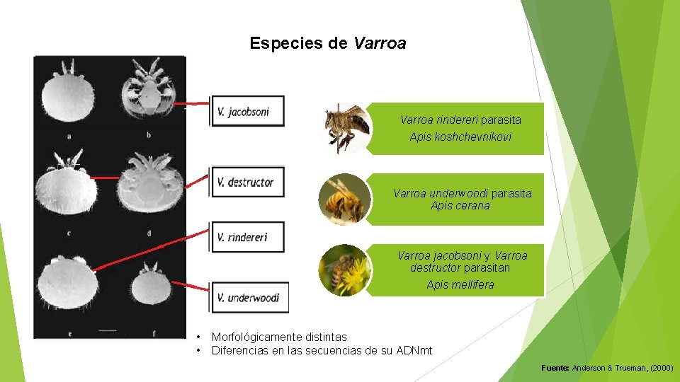 UNIVERSIDAD DE LAS FUERZAS ARMADASESPE DEPARTAMENTO DE CIENCIAS
