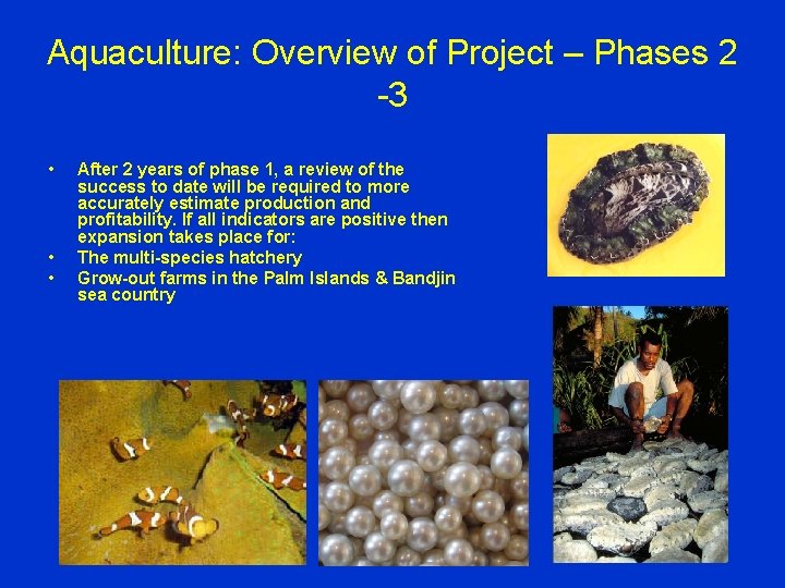 Giant Clam Aquaculture and Ecotourism by Djulin Marine