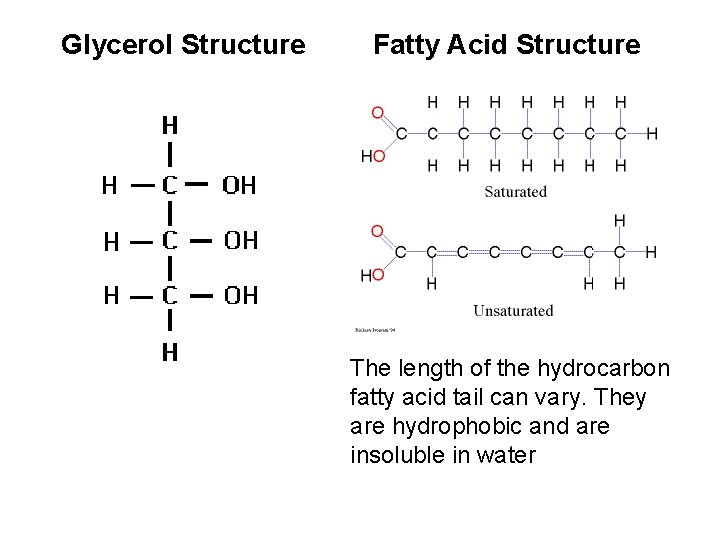 Introduction to lipids Lipids are a diverse group
