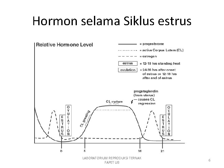 MATERI 4 SIKLUS ESTRUS MK ILMU REPRODUKSI TERNAK