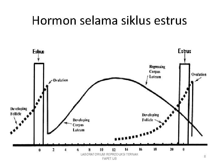 MATERI 4 SIKLUS ESTRUS MK ILMU REPRODUKSI TERNAK