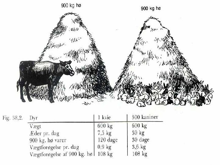 kosystemer Et kosystem bruges til at beskrive et