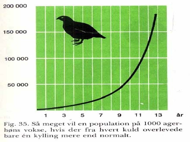 kosystemer Et kosystem bruges til at beskrive et