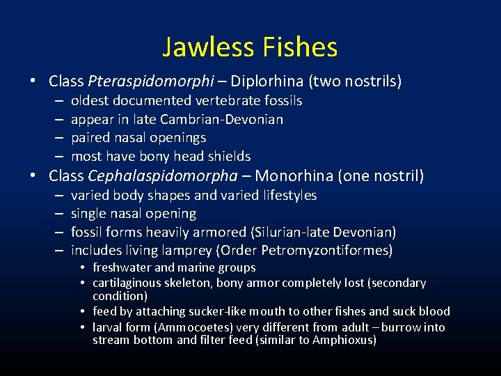 Geologic Time Scale see Page 39 text Precambrian