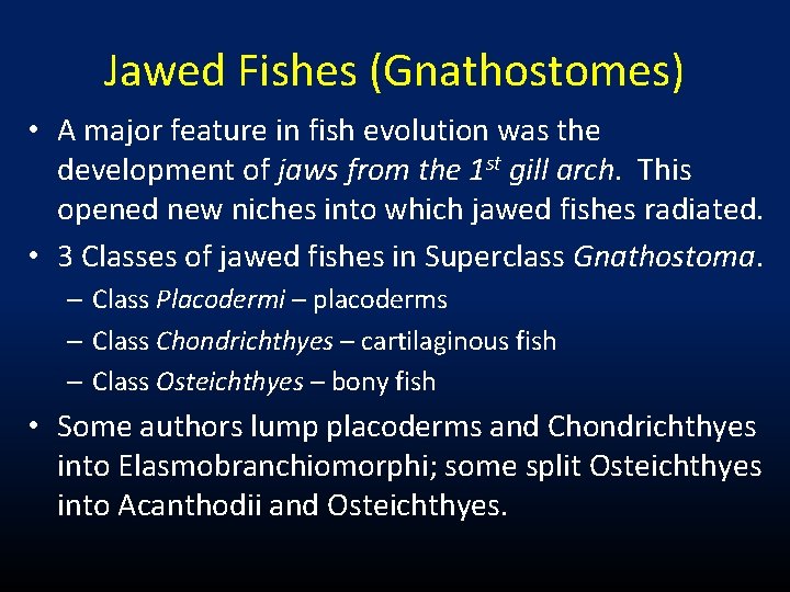 Geologic Time Scale see Page 39 text Precambrian