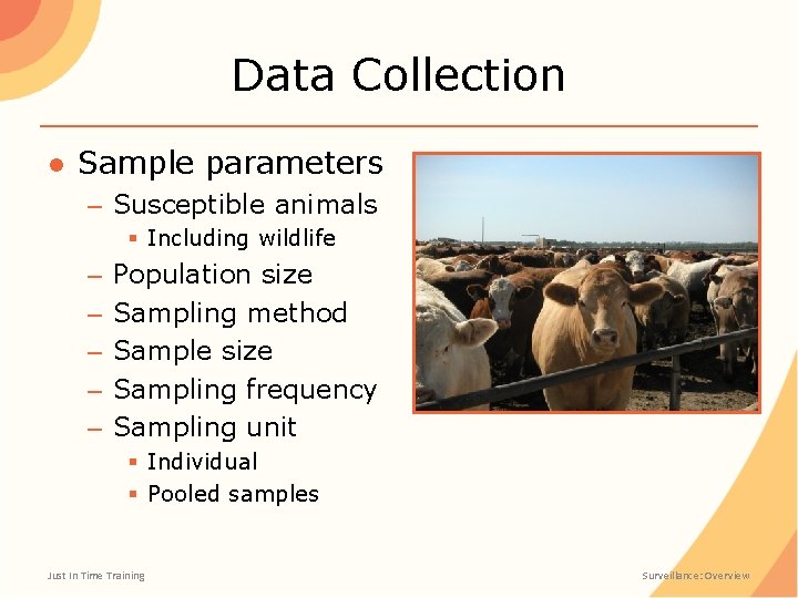 Surveillance During Animal Disease Emergencies Overview Surveillance ...