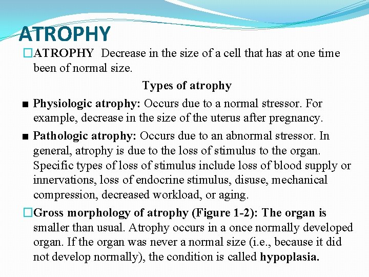 KOWNAYN UNIVERSITY SYSTEMIC PATHOLOGY Mr Ahmed Abdirizak Chapter