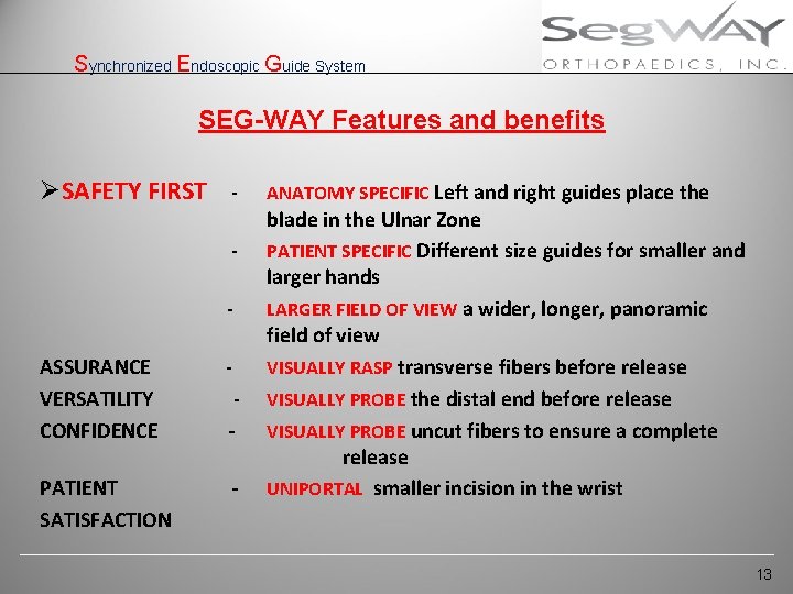 The Synchronized Endoscopic Guide system Seg WAY Orthopaedics
