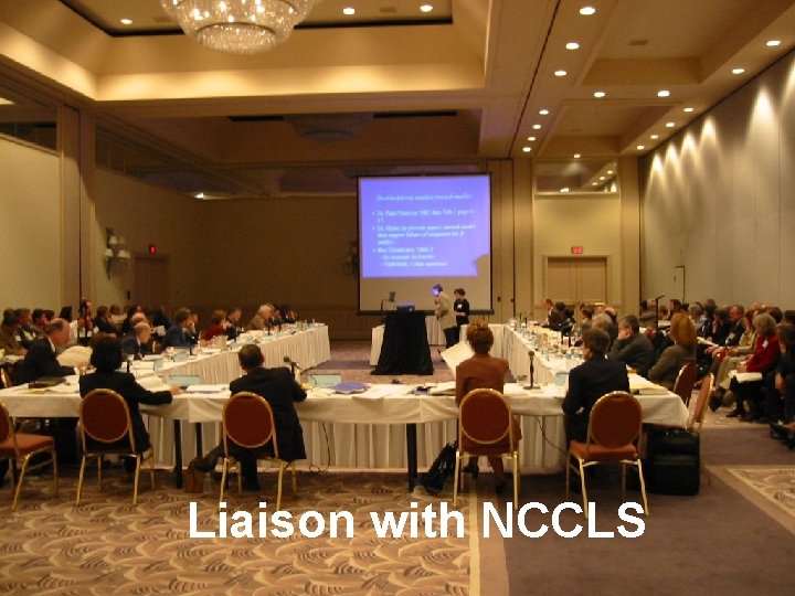 Antimicrobial susceptibility testing in Europe the role of